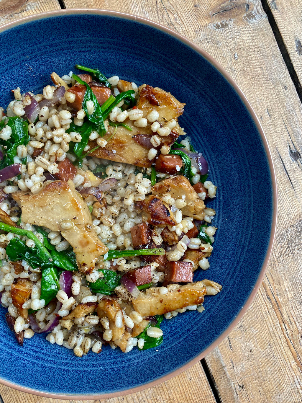 Clearance — Mighty Plants